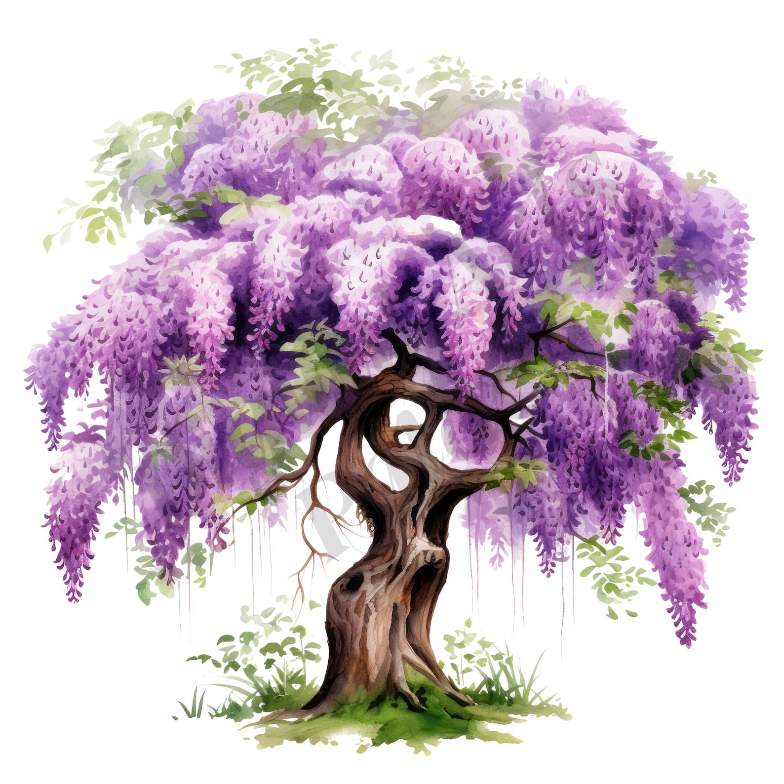Wisteria Tree Clipart, Purple Rain Wisteria Clipart, Jpgs, Digital ...