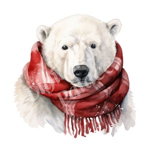 Polar Bear Clipart, Red Scarf Polar Bear Clipart, Jpgs, Instant Digital ...