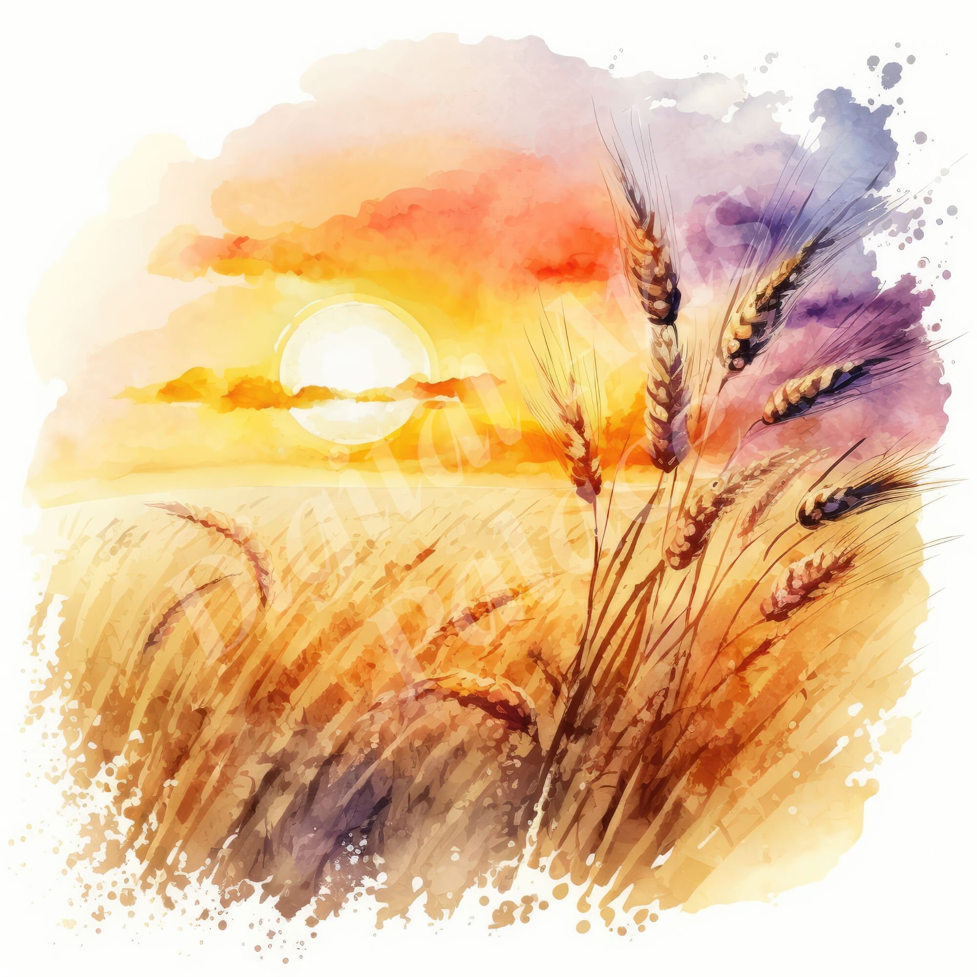 Wheat Field Clipart, Fall Sunset Clipart, Jpgs, Instant Digital ...