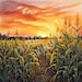 Corn Field Clipart Bundle Sunset Clipart Jpgs Instant Digital Download ...