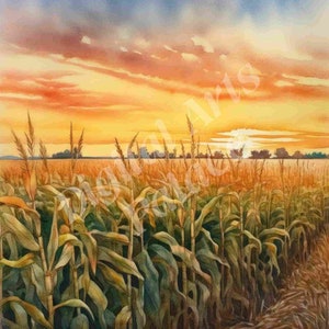 Corn Field Clipart Bundle - Sunset Clipart - Jpgs - Instant Digital ...