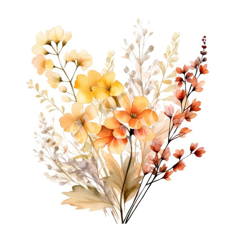 Fall Wildflowers Clipart, Watercolor Flowers Clipart, Jpgs, Instant ...