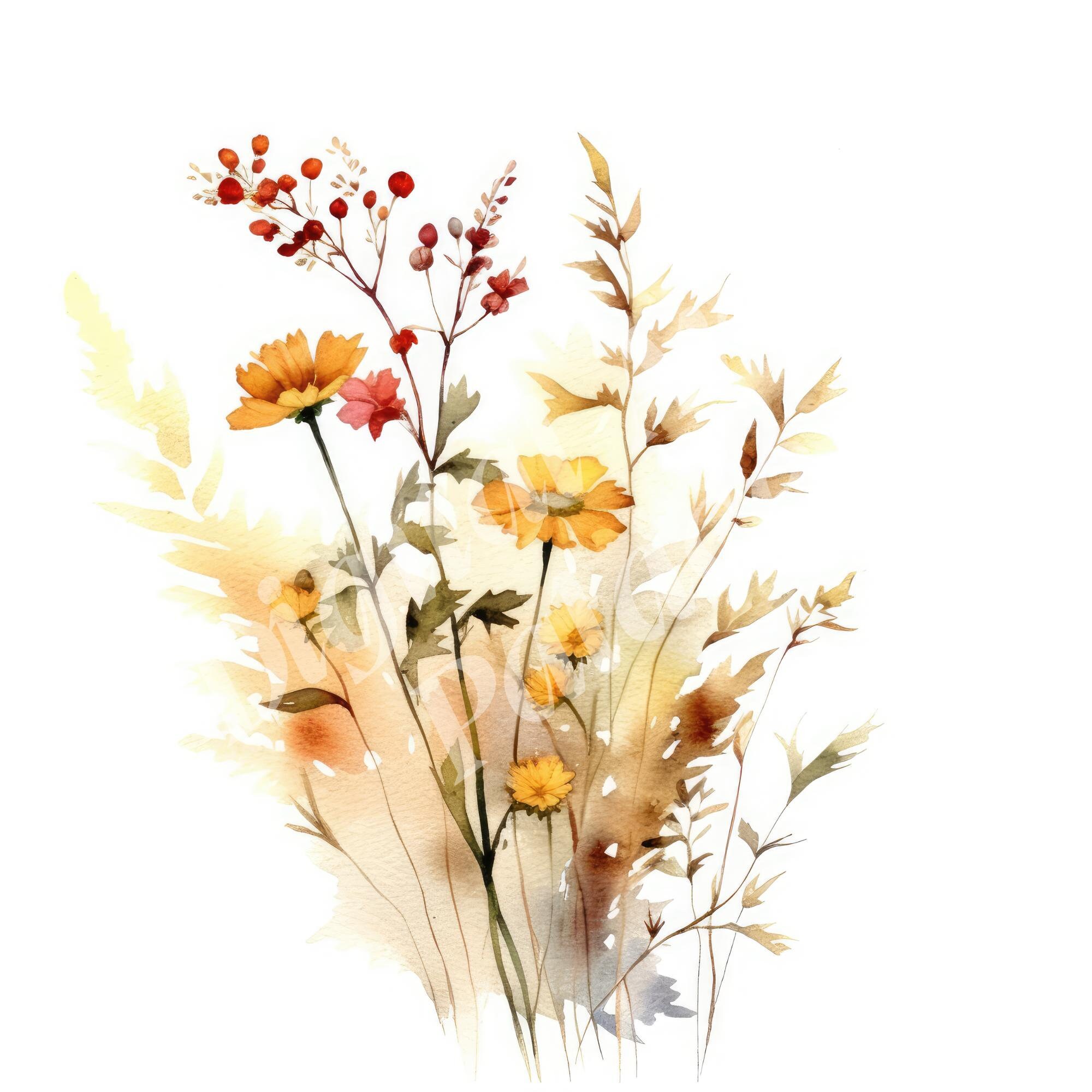 Fall Wildflowers Clipart, Watercolor Flowers Clipart, Jpgs, Instant ...