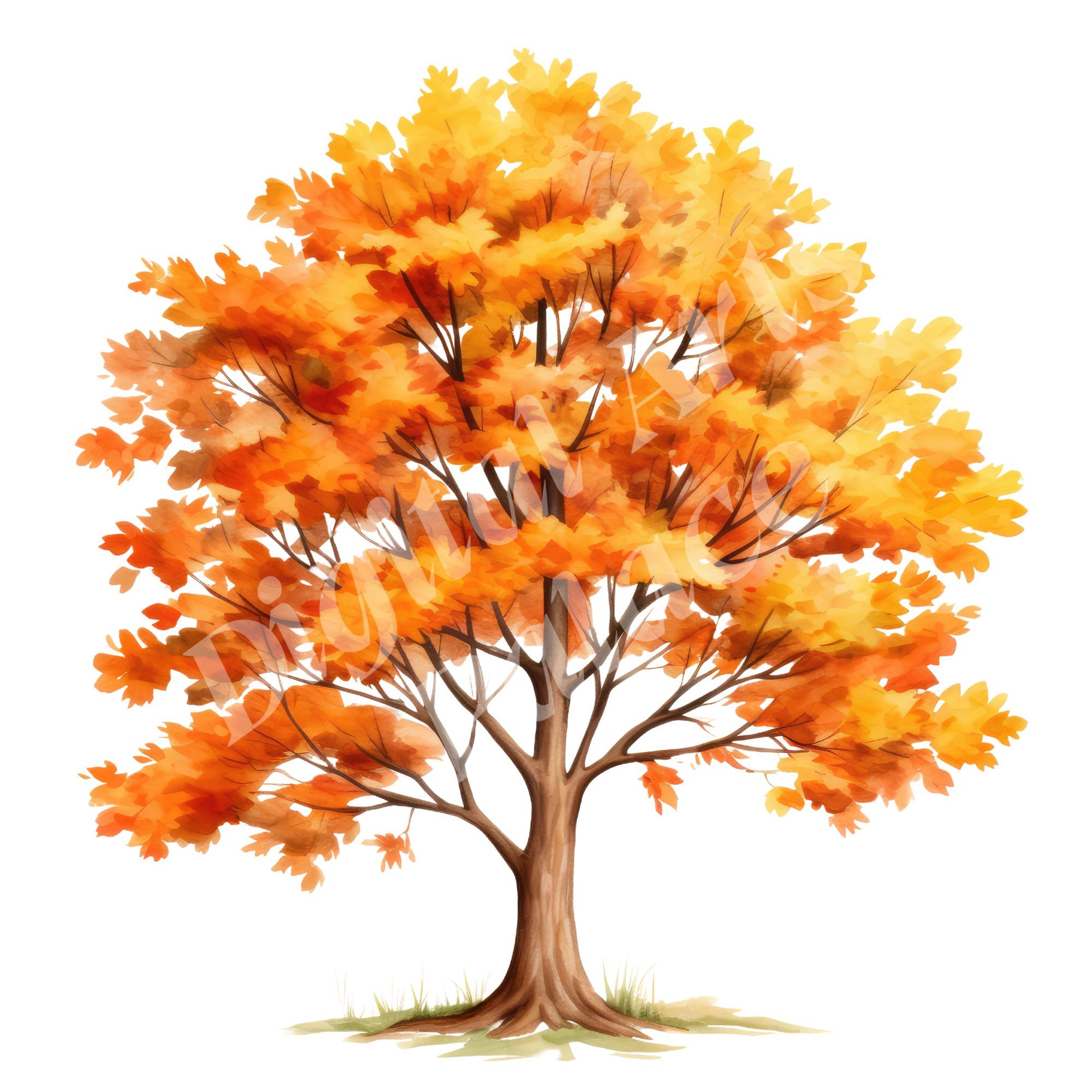 Fall Tree Clipart, Autumn Tree Clipart, Jpgs, Instant Digital Download ...