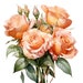 Peach Roses Clipart - Watercolor Floral Clipart - Jpgs - Instant ...