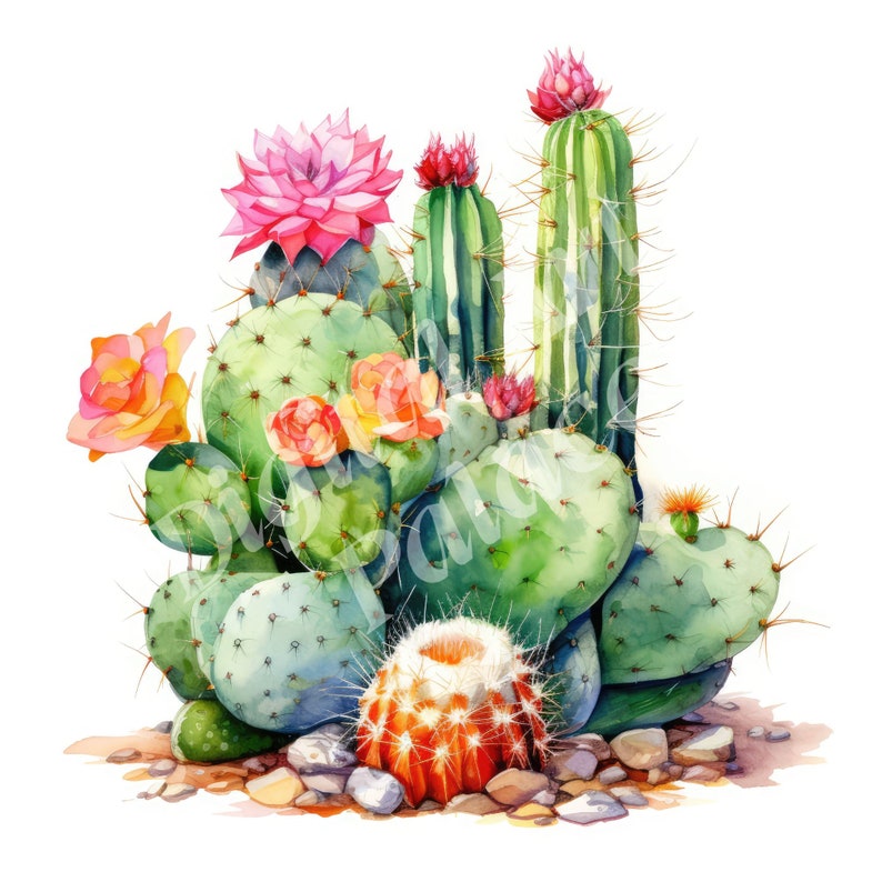 Cactus Clipart, Desert Cactus Clipart, Jpgs, Instant Digital Download ...