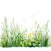 Grass Clipart Bundle, Green Meadow Clipart, Jpgs, Instant Digital ...