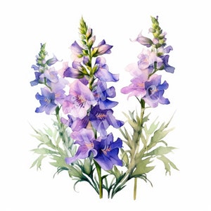 Larkspur Clipart, July Birth Flower Clipart, Jpgs, Instant Digital ...