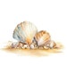 Seashells Clipart Summer Beach Clipart Jpgs Instant Digital Download ...