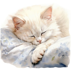 Sleeping Cat Clipart - Cute Cat Watercolor Clipart - Jpgs - Instant ...