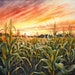 Corn Field Clipart Bundle Sunset Clipart Jpgs Instant Digital Download ...