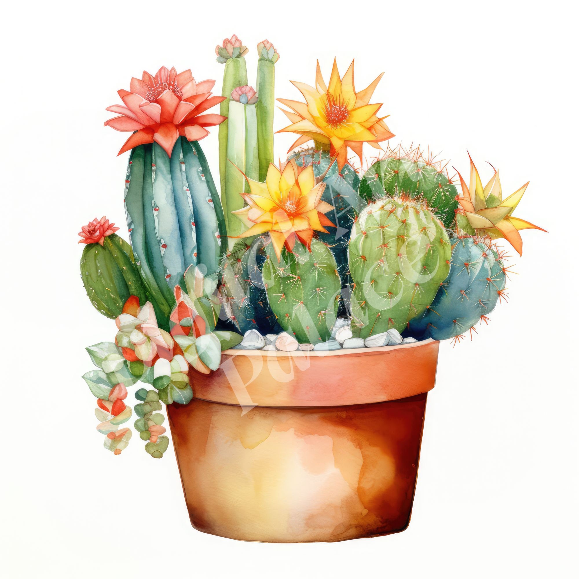 Cactus Clipart, Desert Cactus Clipart, Jpgs, Instant Digital Download ...