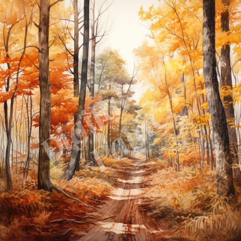 Fall Forest Trail Clipart Autumn Forest Clipart Jpgs - Etsy