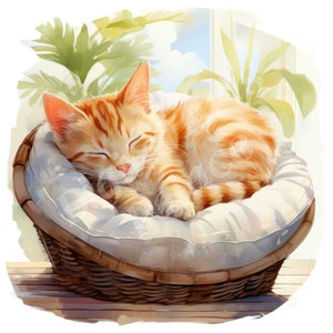 Sleeping Cat Clipart - Cute Cat Watercolor Clipart - Jpgs - Instant ...