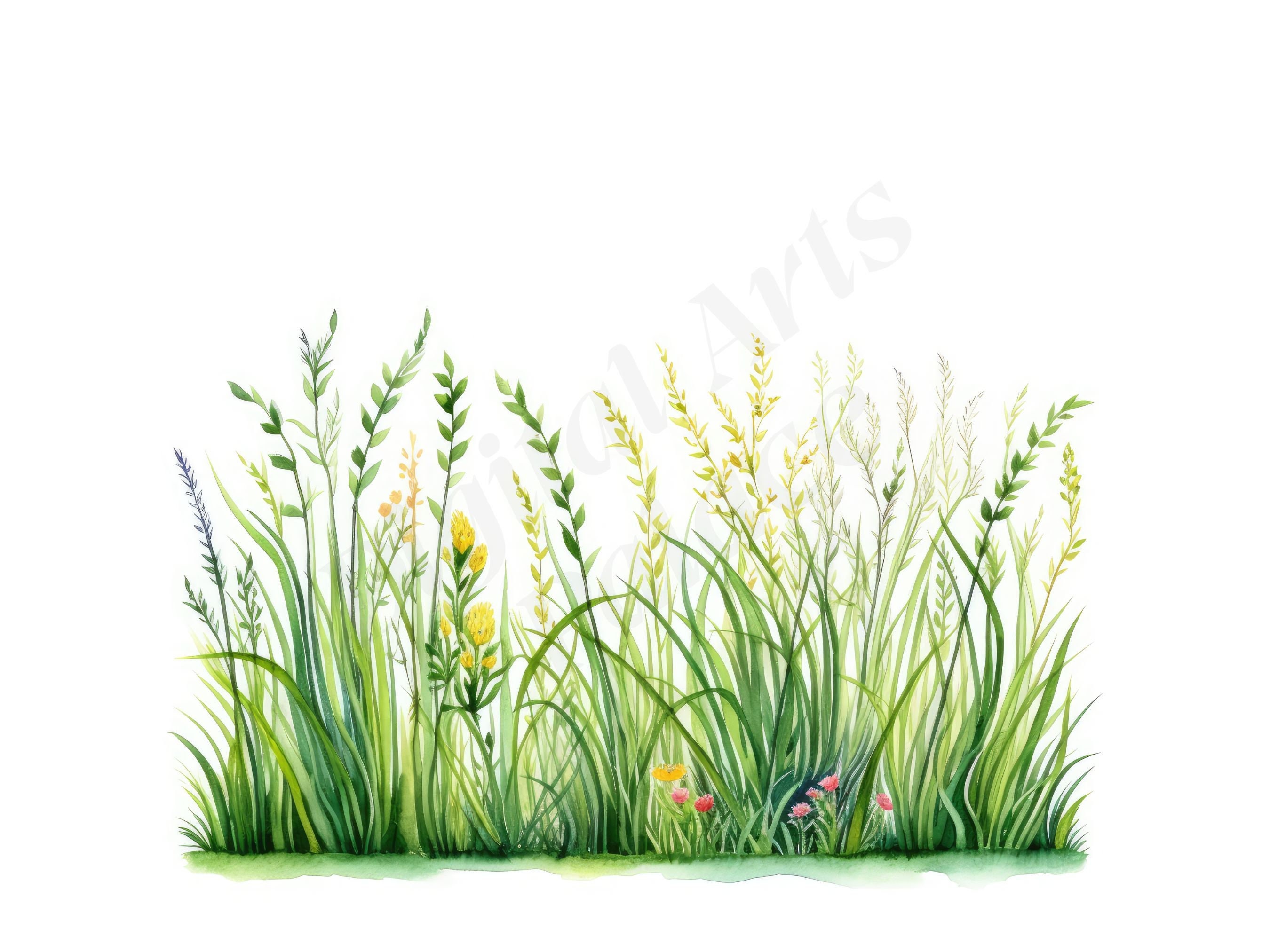 Grass Clipart Bundle, Green Meadow Clipart, Jpgs, Instant Digital ...
