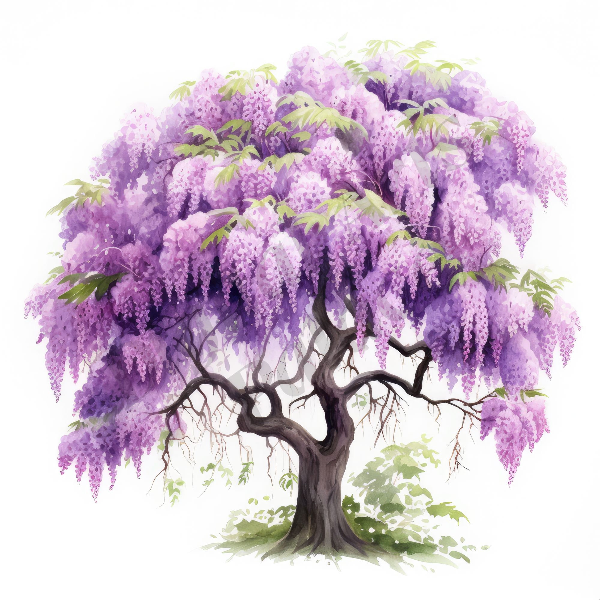 Wisteria Tree Clipart, Purple Rain Wisteria Clipart, Jpgs, Digital ...