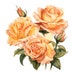 Peach Roses Clipart - Watercolor Floral Clipart - Jpgs - Instant ...