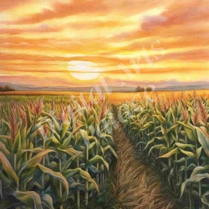 Corn Field Clipart Bundle - Sunset Clipart - Jpgs - Instant Digital ...