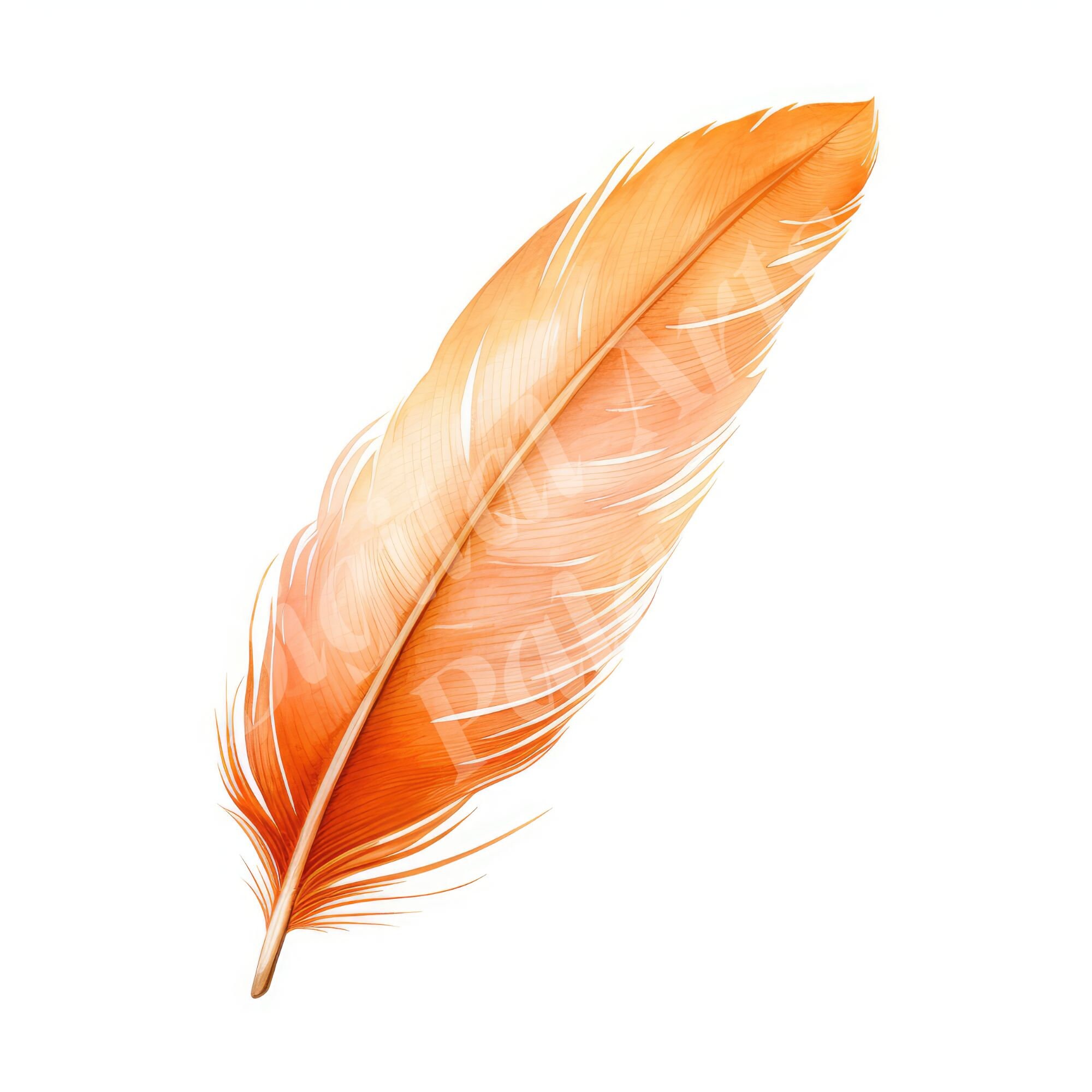 Feather Clipart Colorful Boho Feather Clipart Jpgs - Etsy