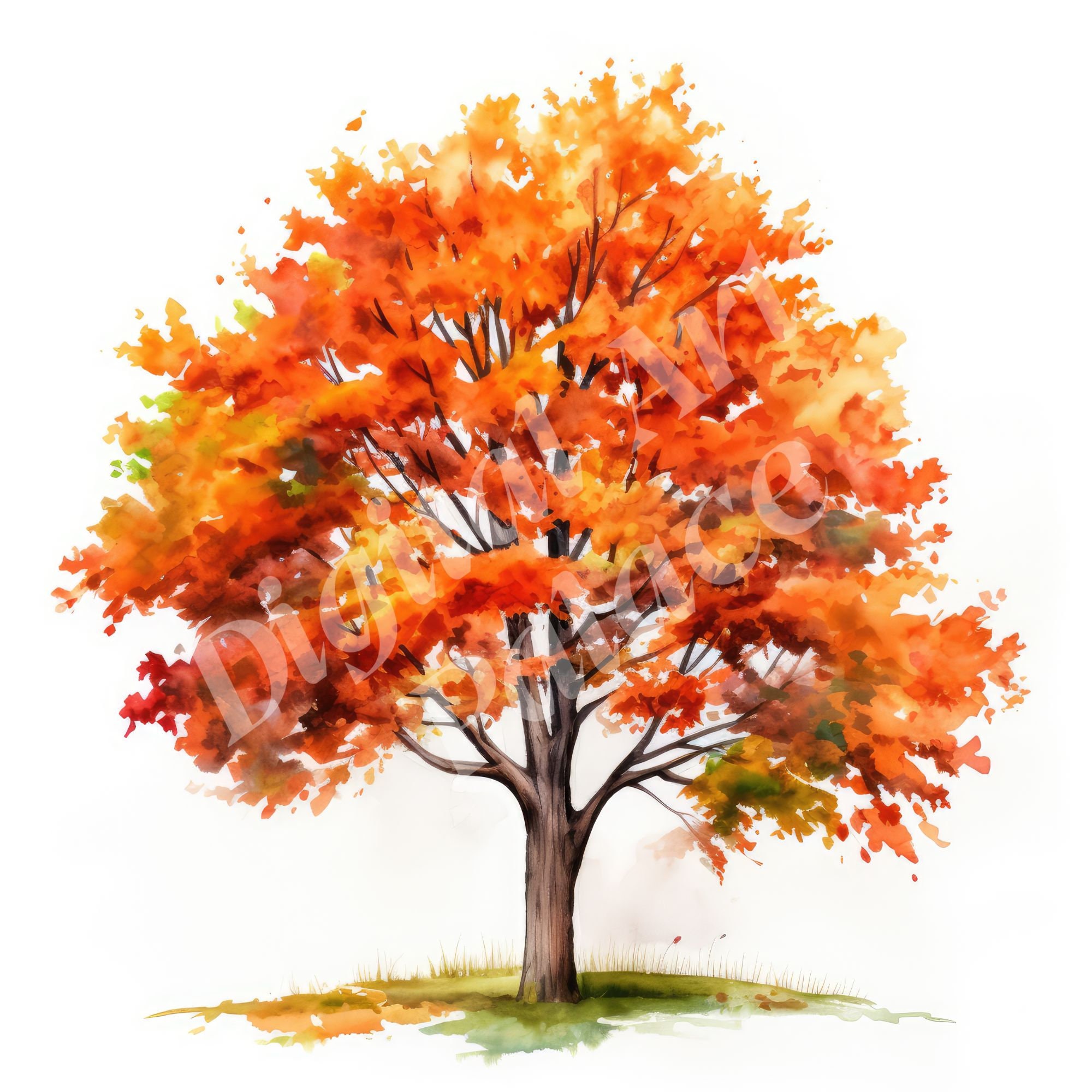 Fall Tree Clipart, Autumn Tree Clipart, Jpgs, Instant Digital Download ...