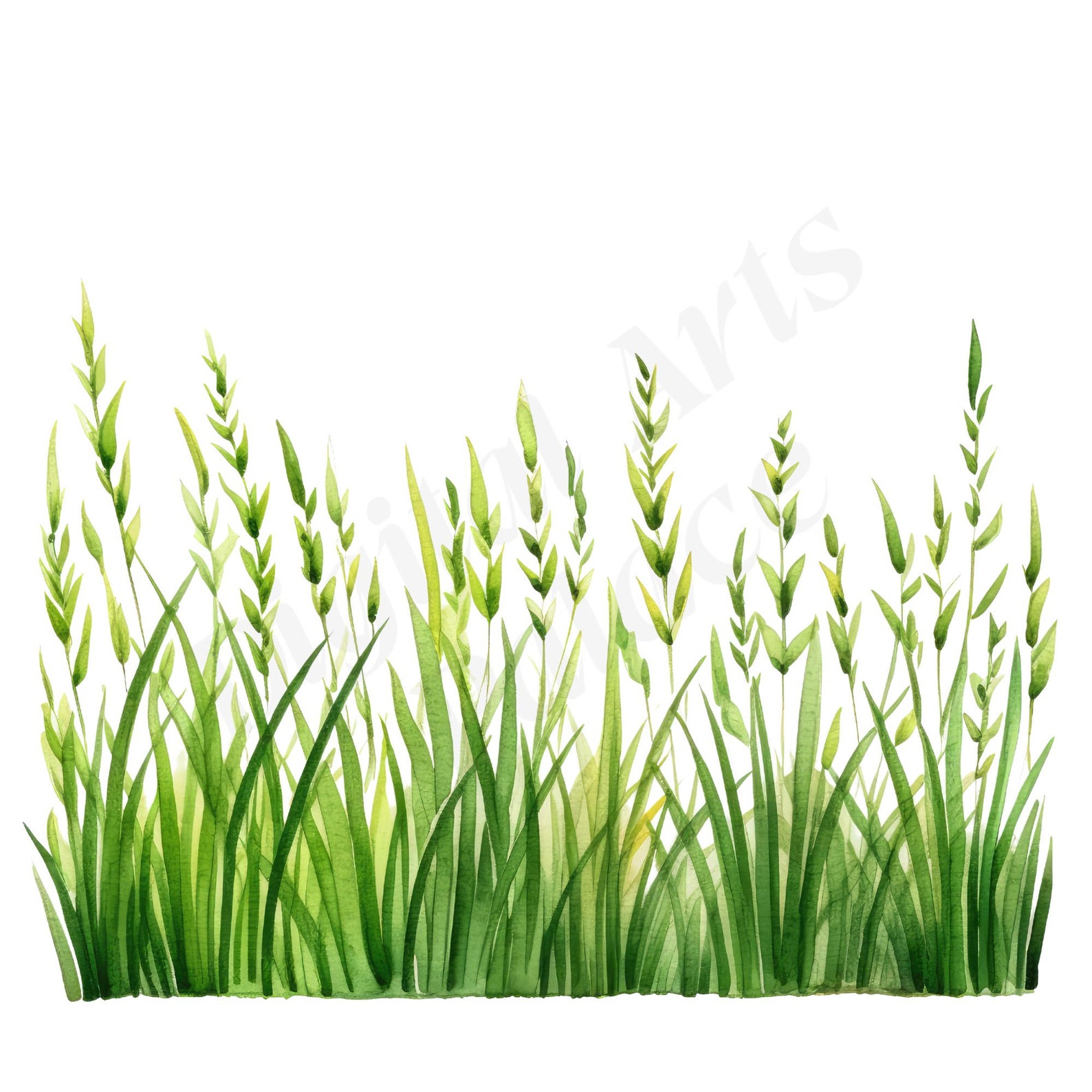 Grass Clipart Bundle, Green Meadow Clipart, Jpgs, Instant Digital ...