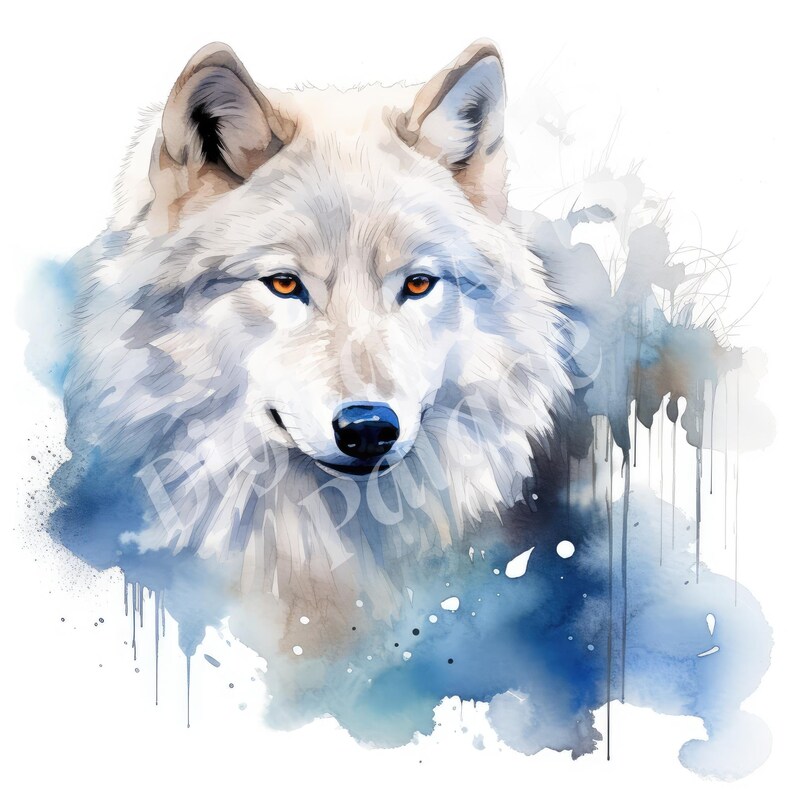 Wolf Clipart, Watercolor Arctic Wolf Clipart, Jpgs, Instant Digital ...