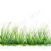 Grass Clipart Bundle, Green Meadow Clipart, Jpgs, Instant Digital ...