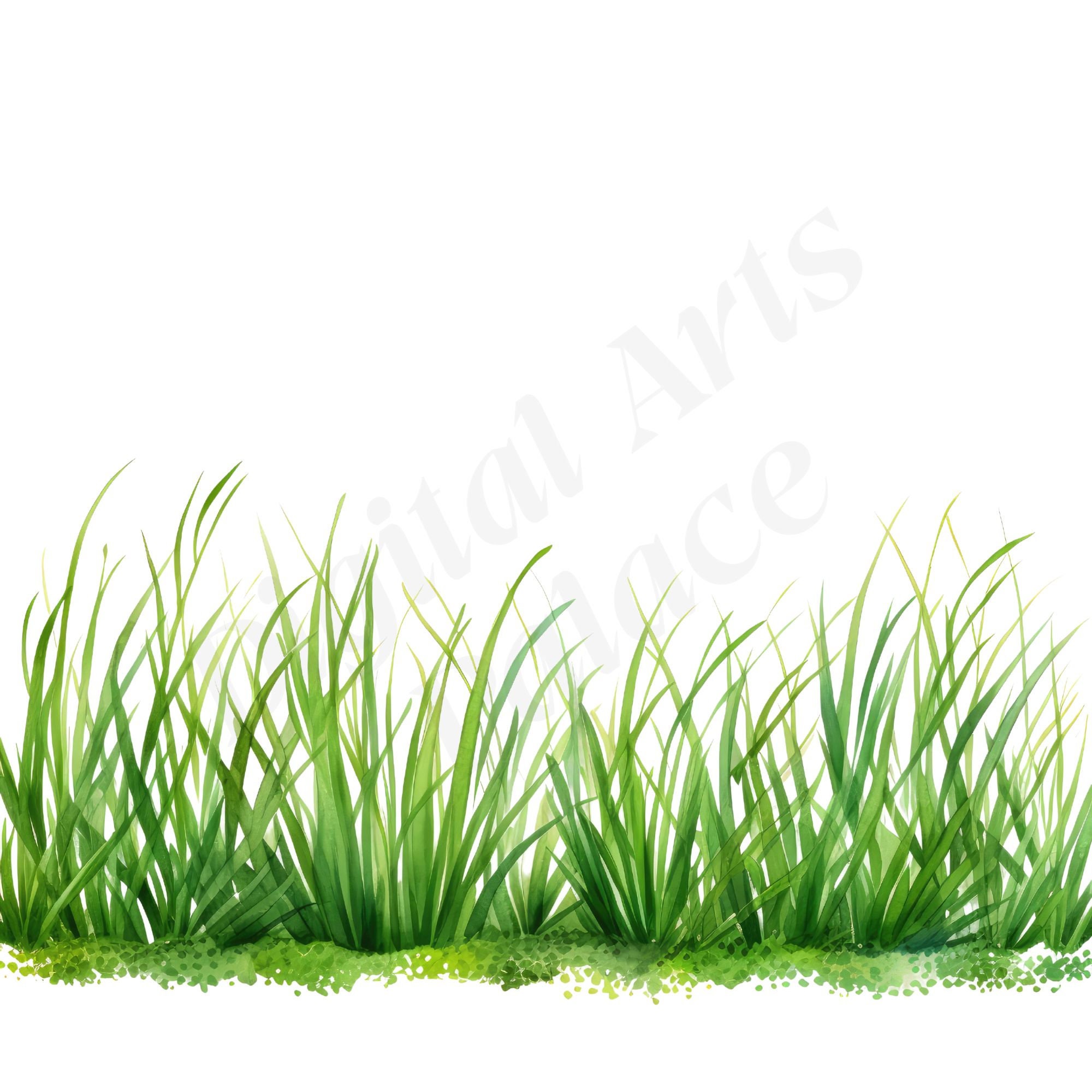 Grass Clipart Bundle, Green Meadow Clipart, Jpgs, Instant Digital ...