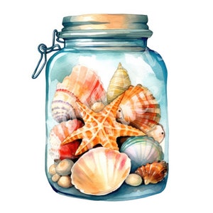 Seashells Clipart - Summer Beach Clipart - Jpgs - Instant Digital ...