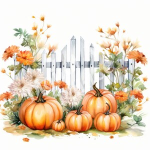 Pumpkin Fence Clipart - Fall Floral Fence Clipart - Jpgs - Instant ...