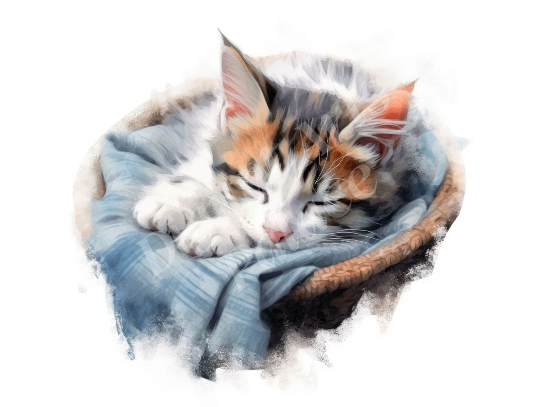 Sleeping Cat Clipart - Cute Cat Watercolor Clipart - Jpgs - Instant ...