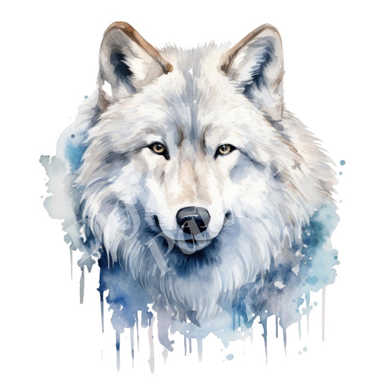 Wolf Clipart, Watercolor Arctic Wolf Clipart, Jpgs, Instant Digital ...
