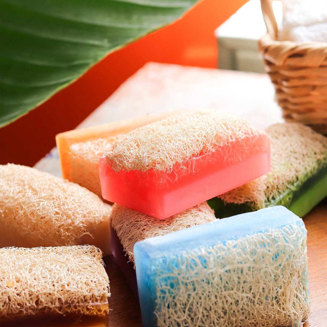 Wholesale Vegan Luffa Soap Bars - Exfoliating & Moisturizing - All ...