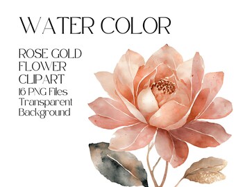 12 Watercolor Pink Rose Flower Clipart - Printable Watercolor Clipart ...