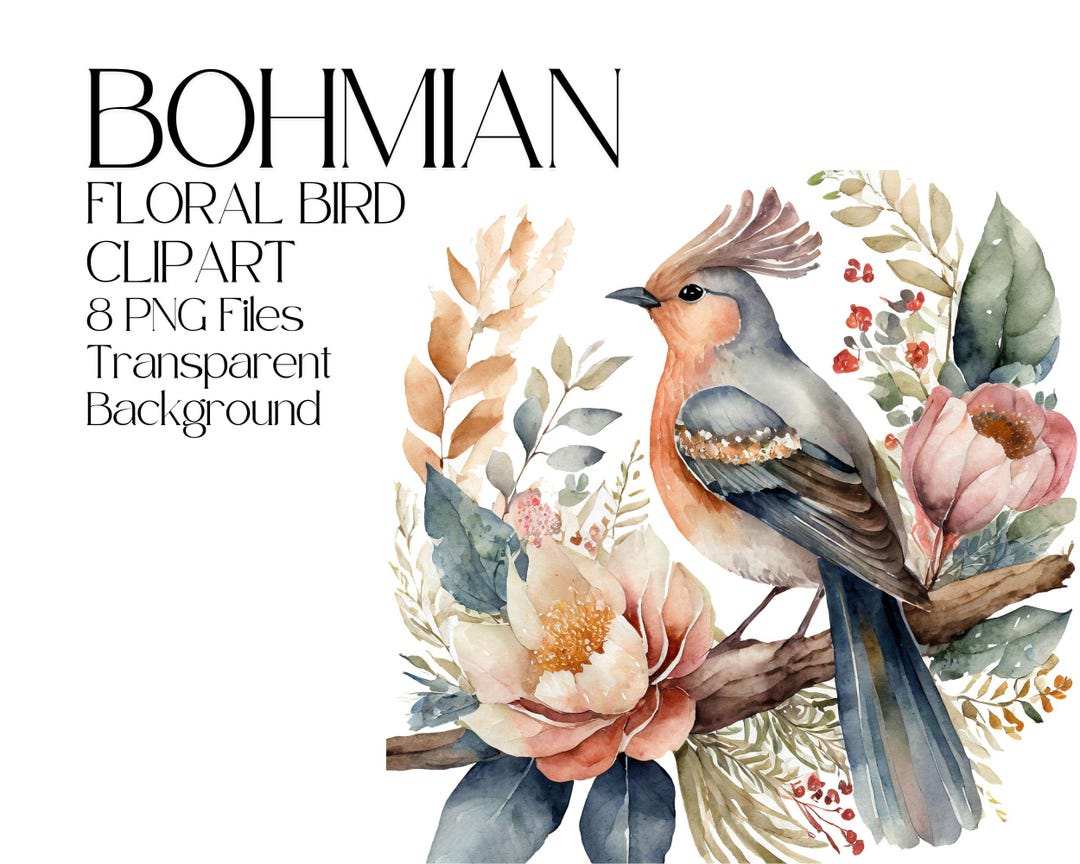 8 Bohemain Floral Bird Clipart - Printable Watercolor Clipart, High ...