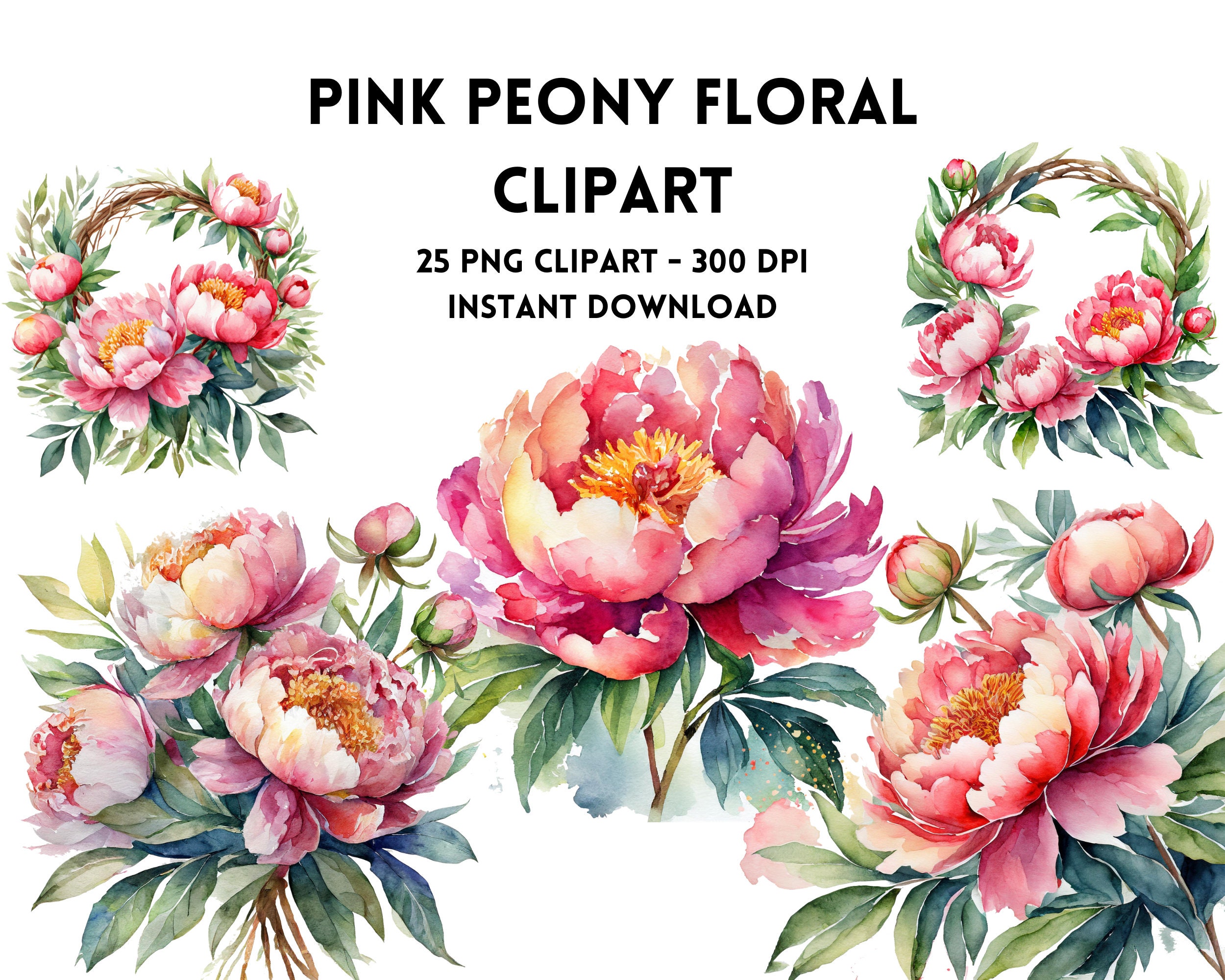 Watercolor Pink Peony Clipart 25 PNG Files | High Resolution | Graphics ...