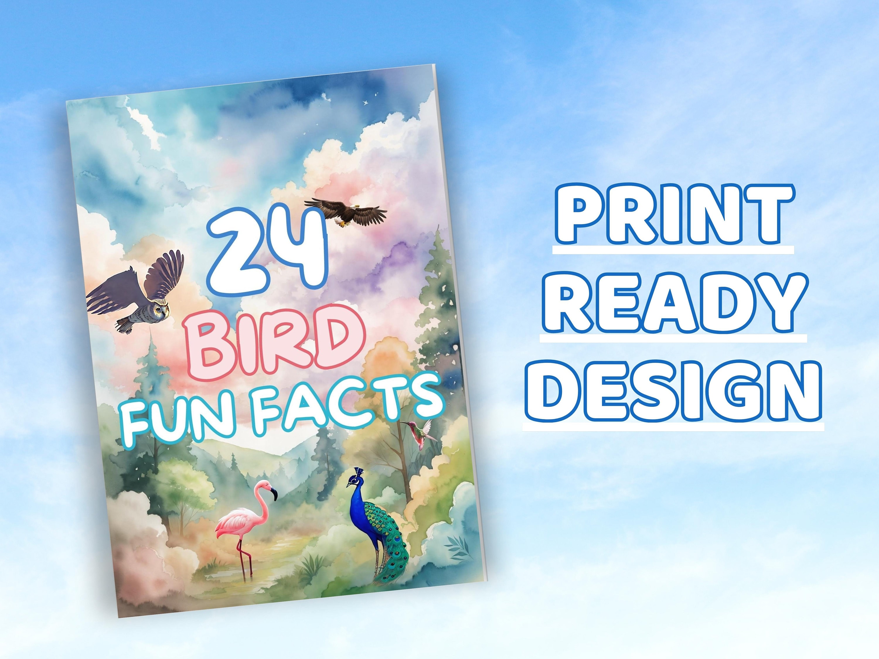 BIRD Fun Facts for Kids | Printable Booklet, Animal Learning ...