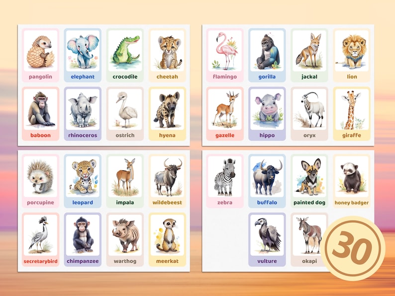 30 SAFARI ANIMAL Flashcards for Kids | Printable Flashcards, Montessori ...