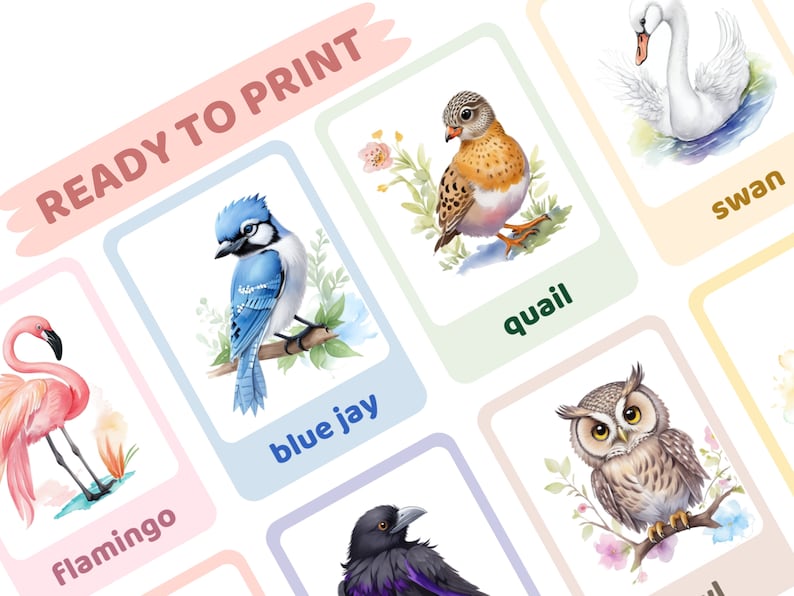 24 BIRD ANIMAL Flashcards for Kids Printable Flashcards, Montessori ...