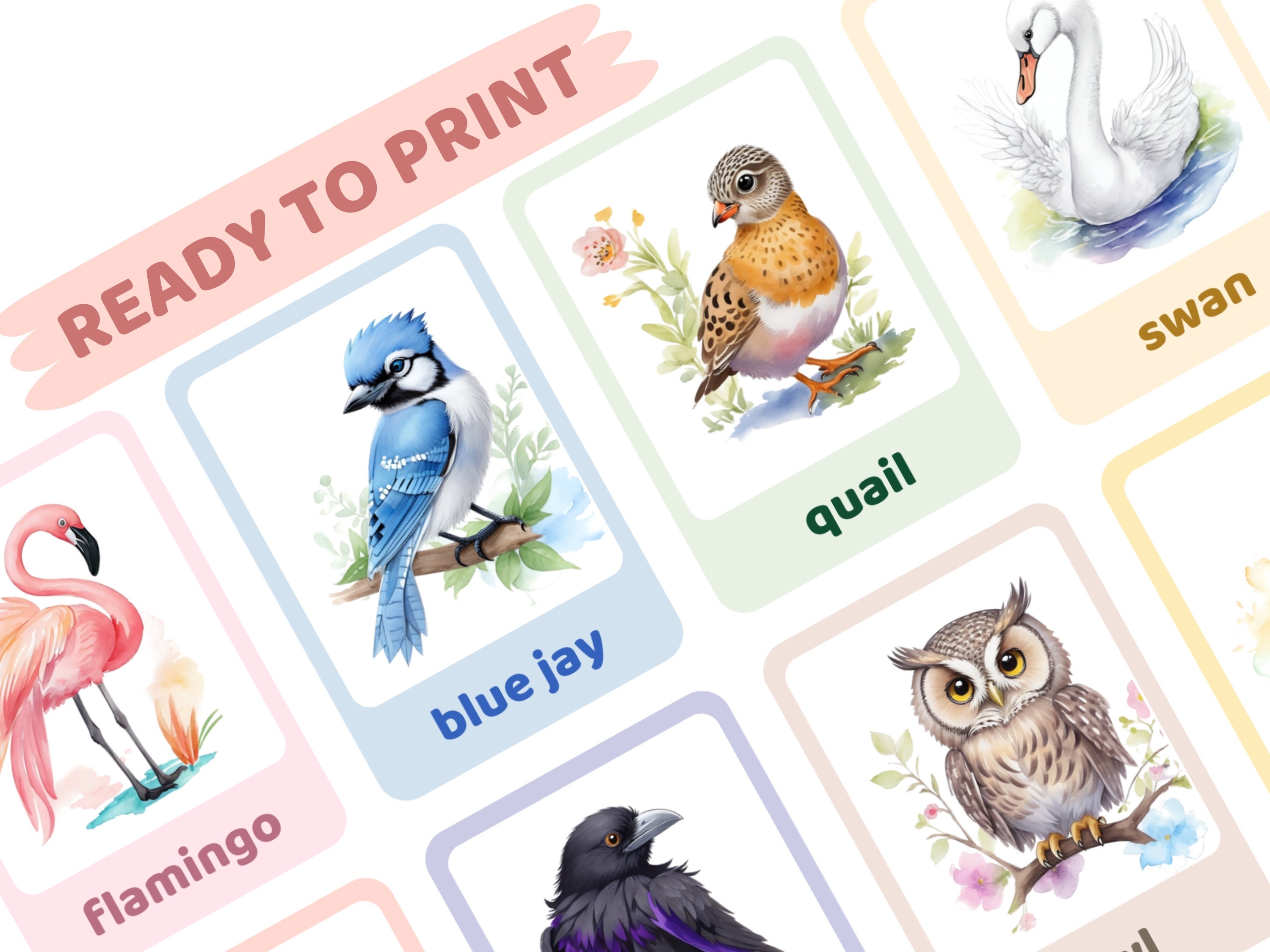 24 BIRD ANIMAL Flashcards for Kids | Printable Flashcards, Montessori ...