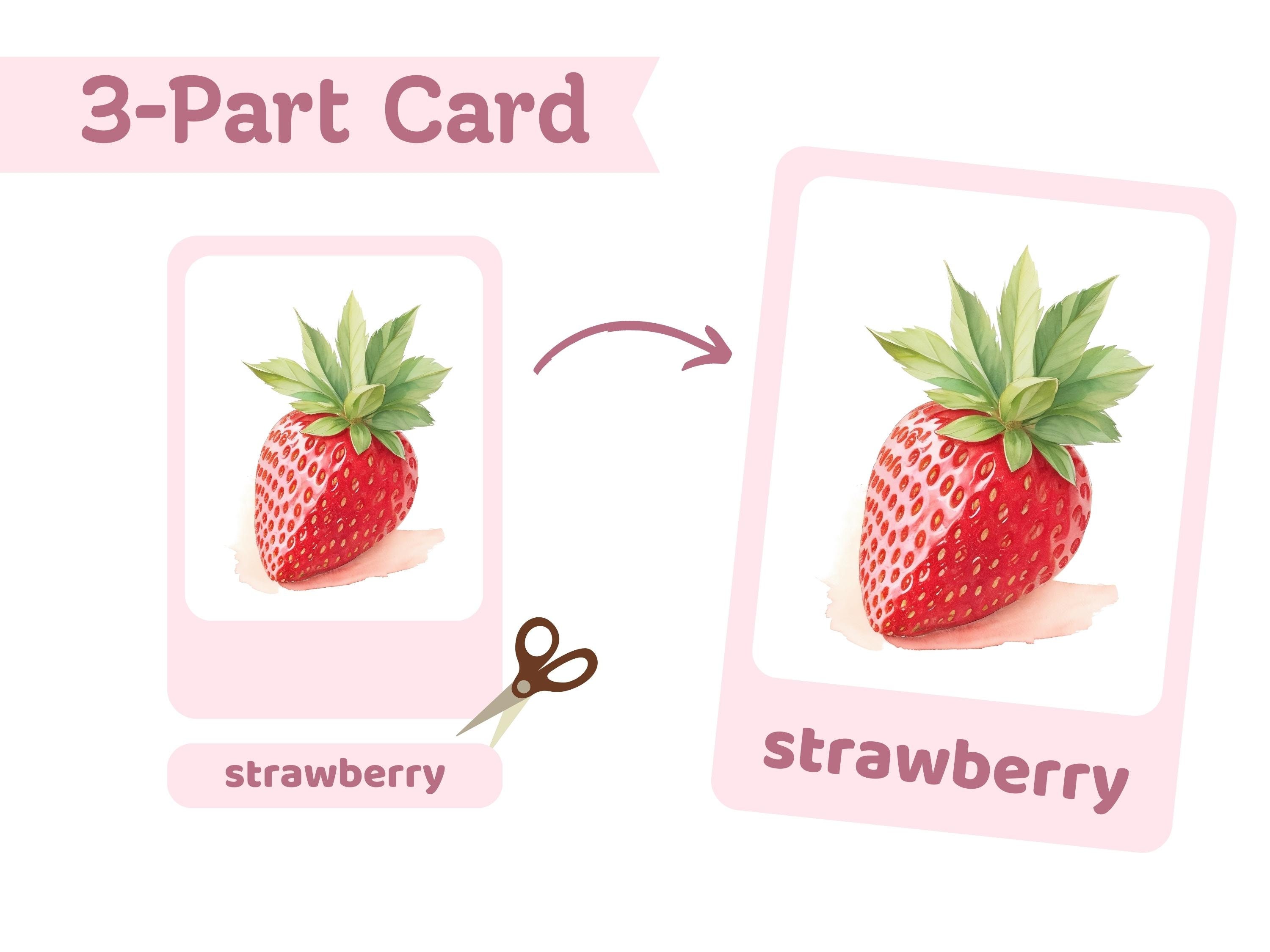 30 FRUITS and VEGETABLES Flashcards for Kids Printable Flashcards ...
