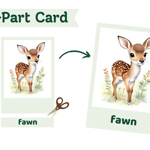 24 BABY ANIMAL Flashcards for Kids | Printable Flashcards, Montessori ...