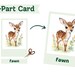 24 BABY ANIMAL Flashcards for Kids Printable Flashcards, Montessori ...