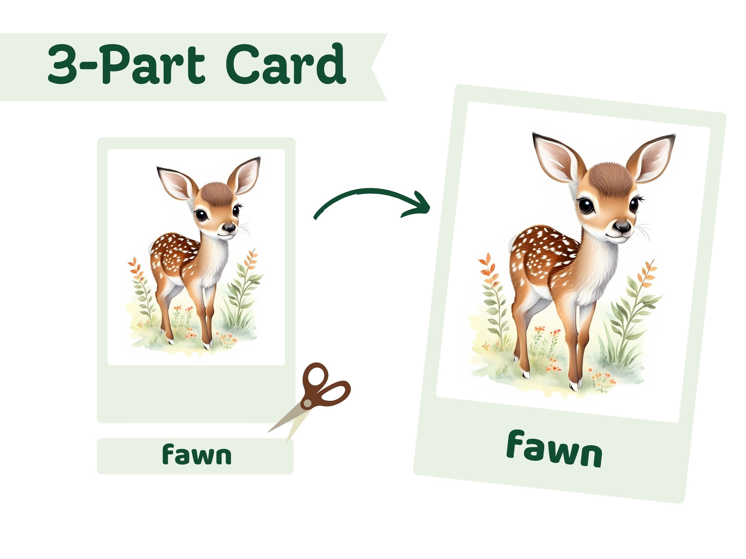 24 BABY ANIMAL Flashcards for Kids | Printable Flashcards, Montessori ...