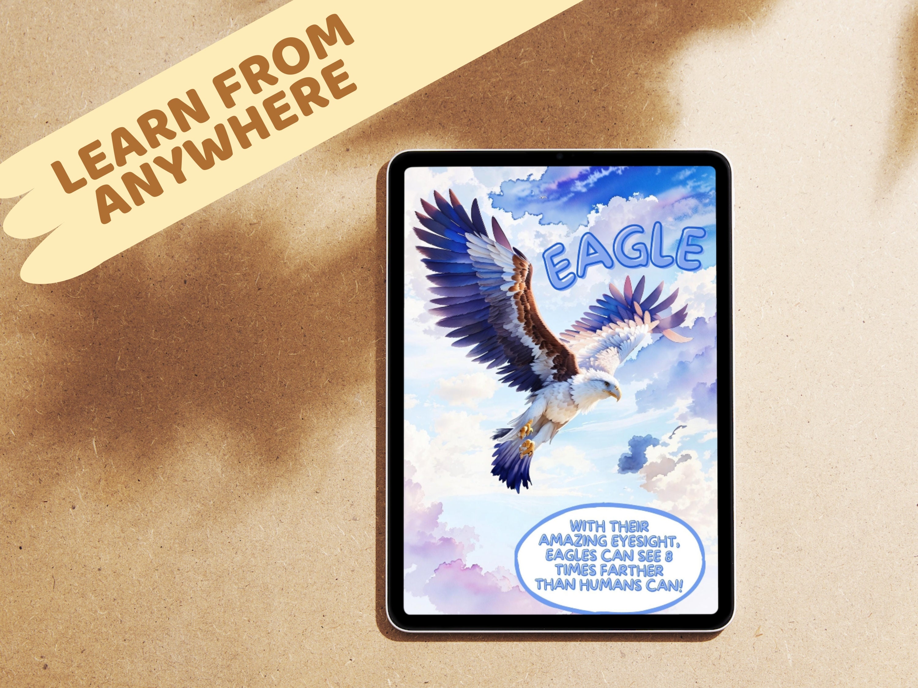 BIRD Fun Facts for Kids | Printable Booklet, Animal Learning ...