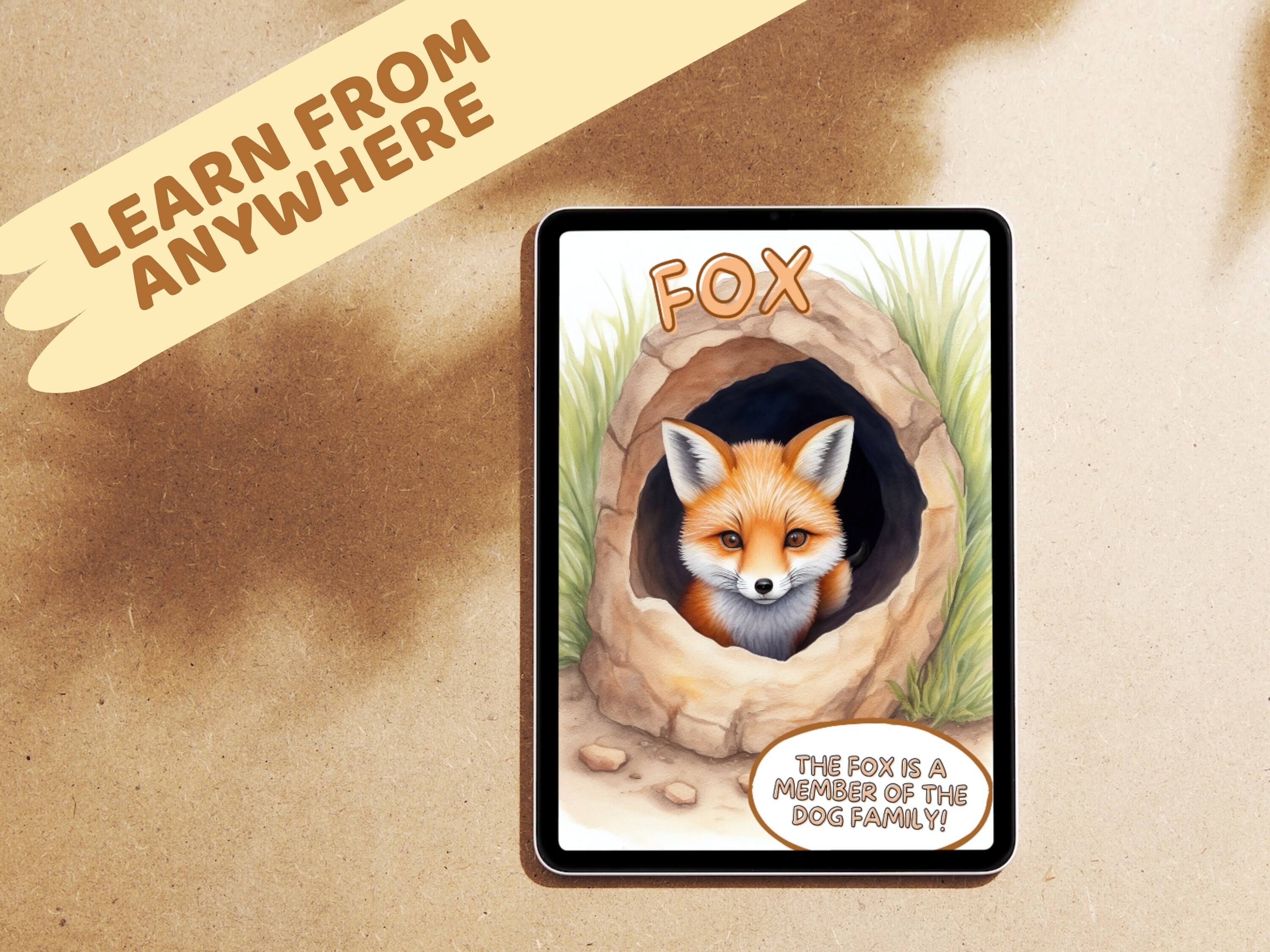 ANIMAL FUN FACTS for Kids | Printable Booklet, Animal Learning ...