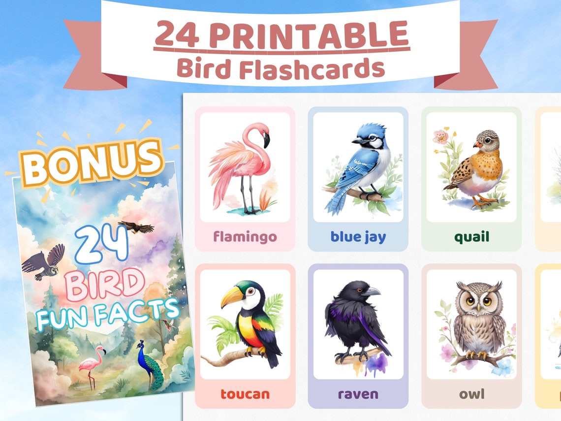 24 BIRD ANIMAL Flashcards for Kids Printable Flashcards, Montessori ...