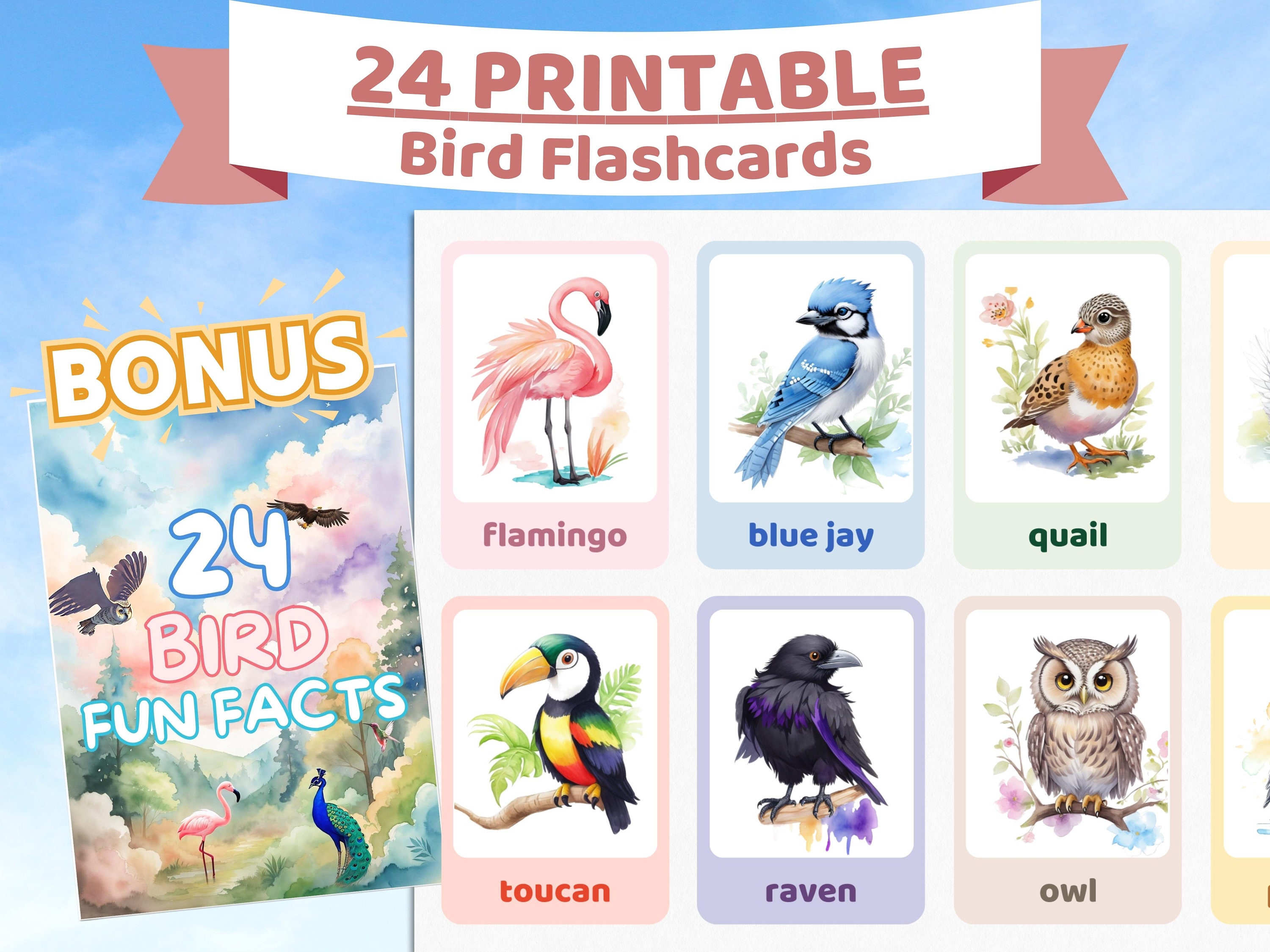 24 BIRD ANIMAL Flashcards for Kids | Printable Flashcards, Montessori ...