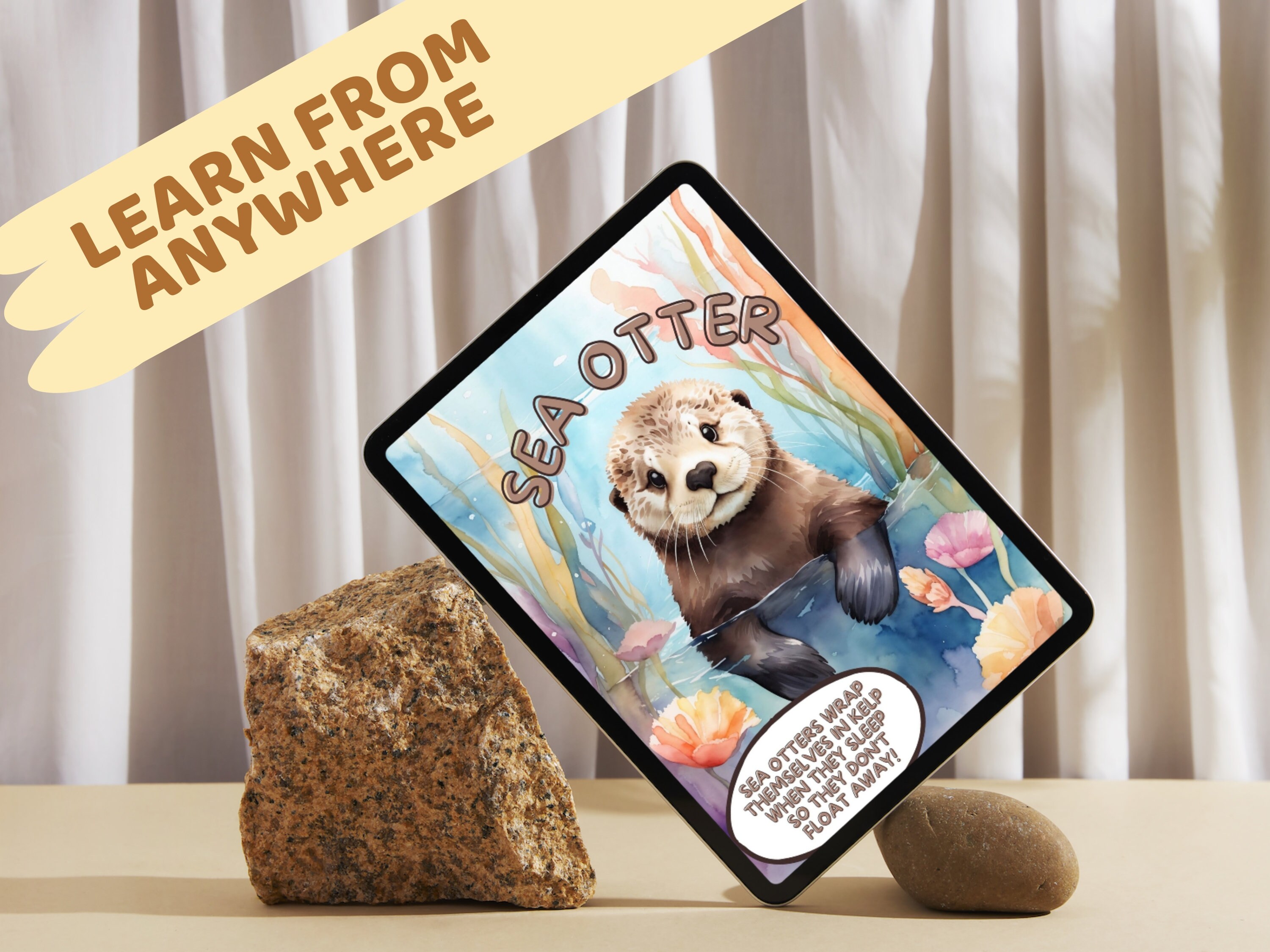 SEA ANIMAL Fun Facts for Kids | Printable Booklet, Animal Learning ...