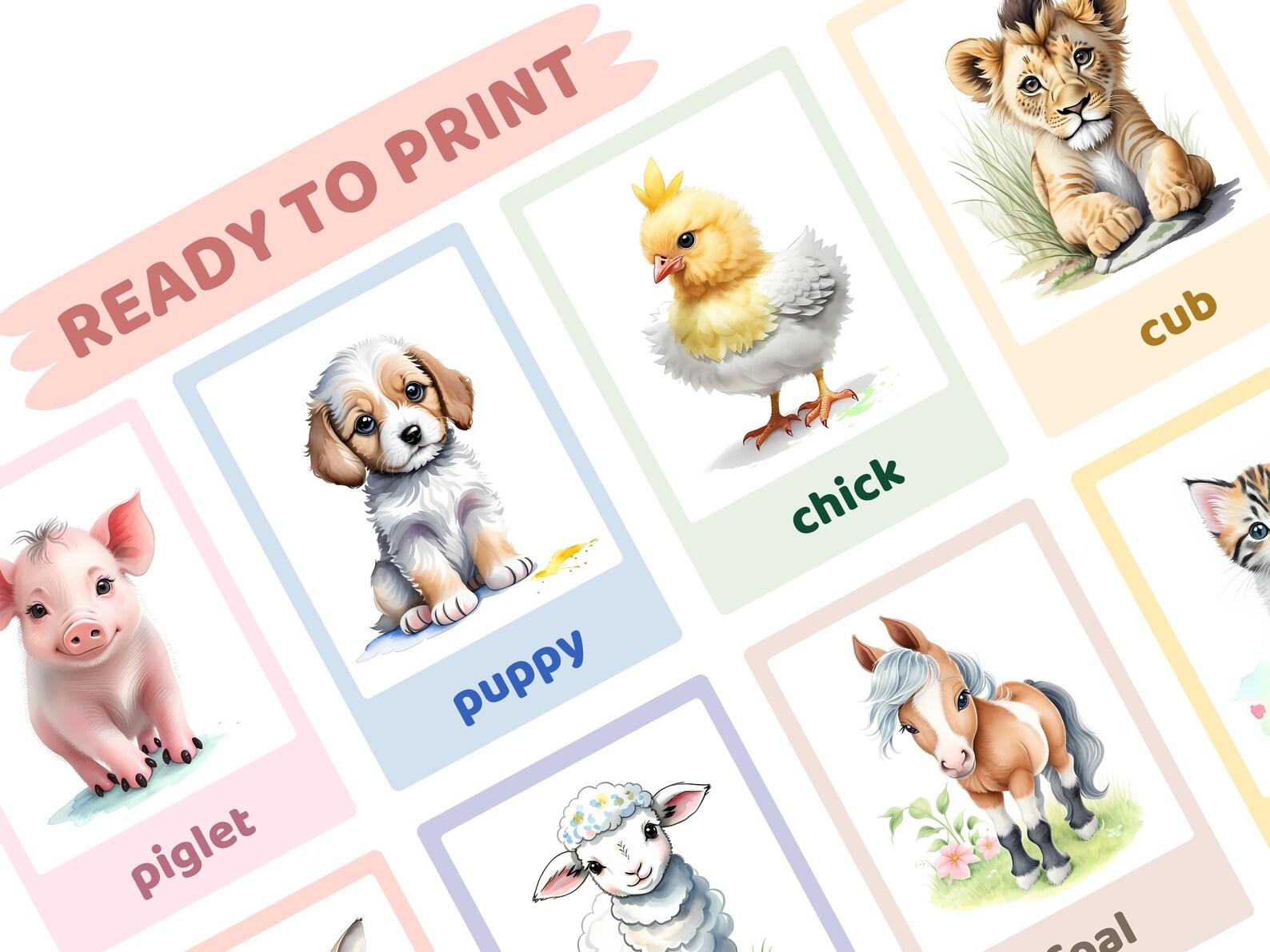 24 BABY ANIMAL Flashcards for Kids | Printable Flashcards, Montessori ...